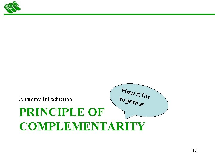 The Human Body Anatomy and Physiology Terminology 1