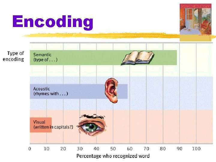 Memory Memory persistence of learning over time via