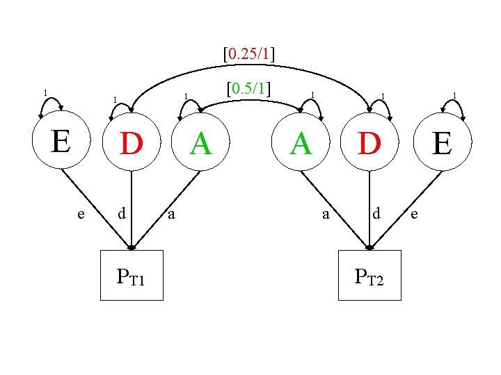 Biometrical genetics Manuel Ferreira Shaun Purcell Pak Sham