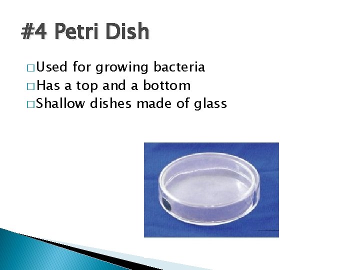 Lab Equipment 8 th Grade Science Mrs Bendoraitis