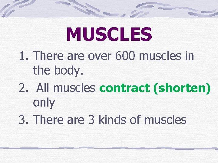 MUSCLES MUSCLES 1 There are over 600 muscles