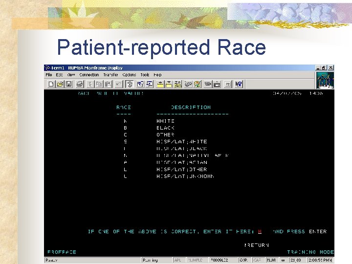 Do Physicians Identify Patient Race in Admitting History