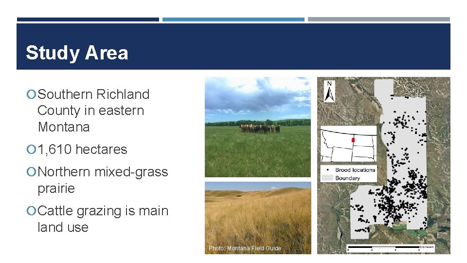 Using ecological site condition to evaluate habitat selection