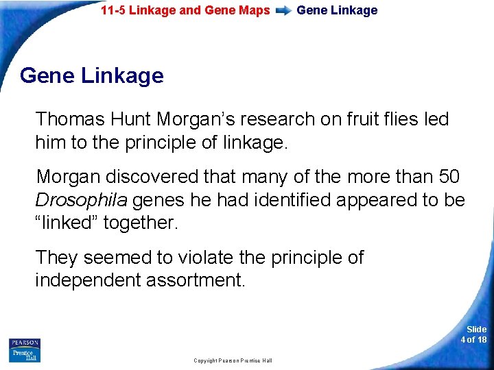 Biology Slide 1 of 18 Copyright Pearson Prentice