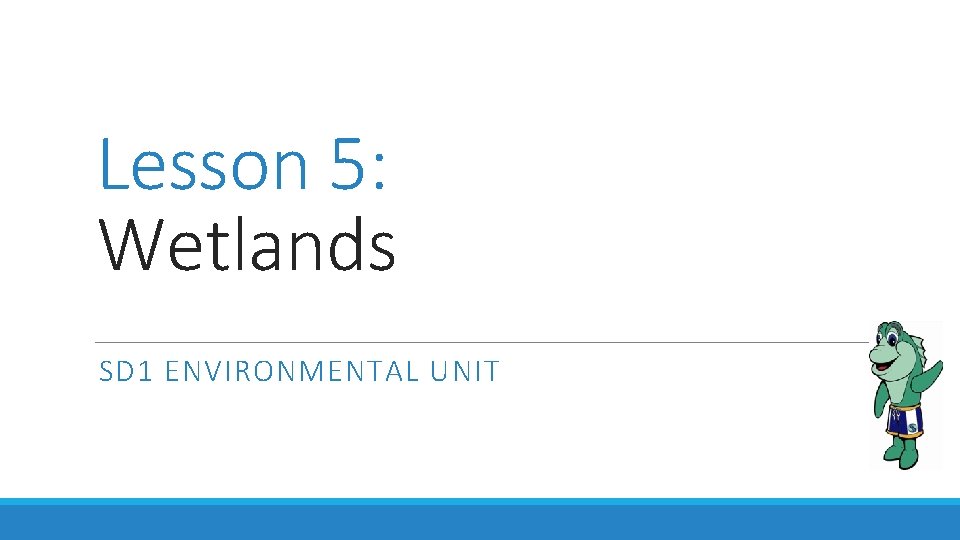 Lesson 5 Wetlands SD 1 ENVIRONMENTAL UNIT REVIEW