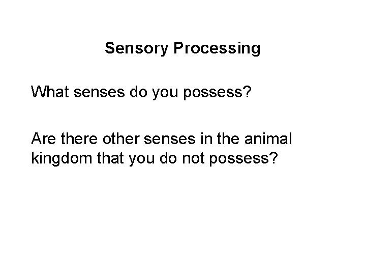 Sensory Processing What senses do you possess Are