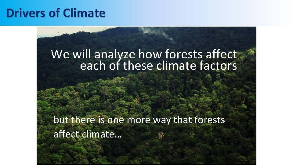 Bangladesh ClimateResilient Ecosystem Curriculum BACUM Module 3 Forest