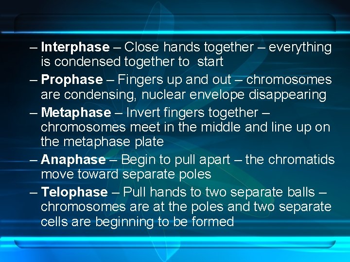 Cell Cycle Mitosis Vocab Break Homologous Chromosome Sister