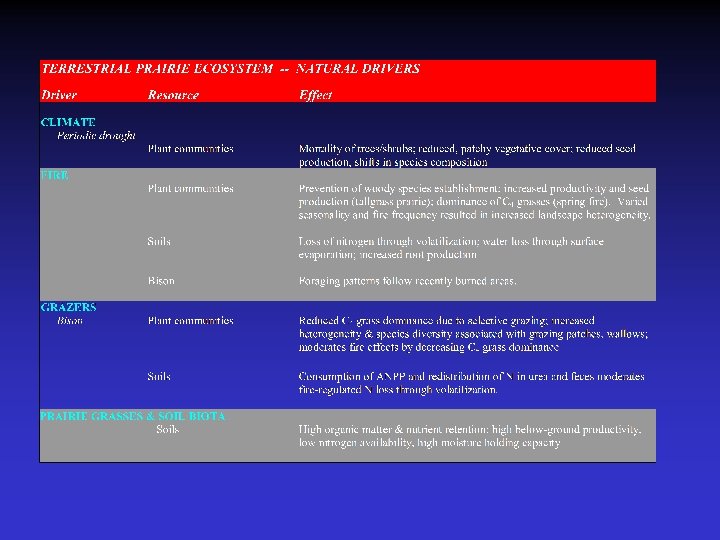 13 th Century model of rabbit population growth