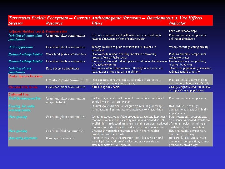 13 th Century model of rabbit population growth