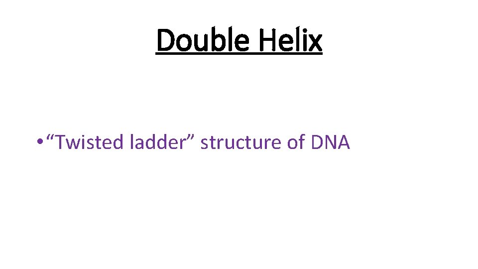 DNARNA Vocabulary Ms Womacks Definitions DNADeoxyribonucleic Acid Nucleic