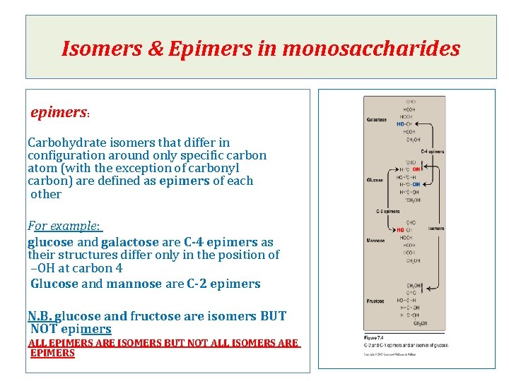 Introduction to Carbohydrates of medical importance General importance