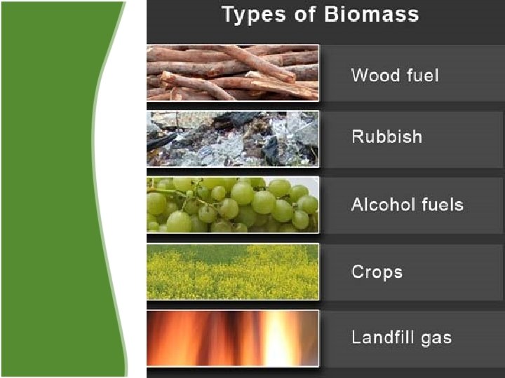 Biomass Guangyu Hu What is Biomass Biomass is
