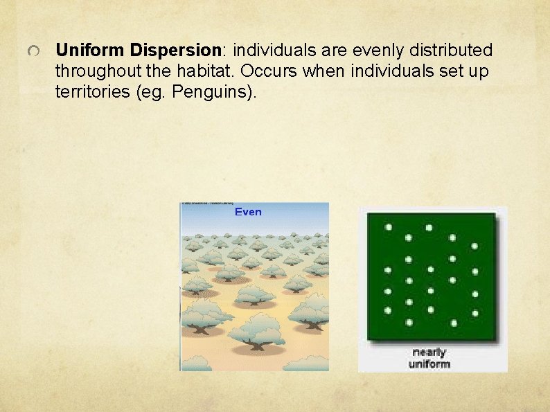 Characteristics of Populations Habitat the place where an