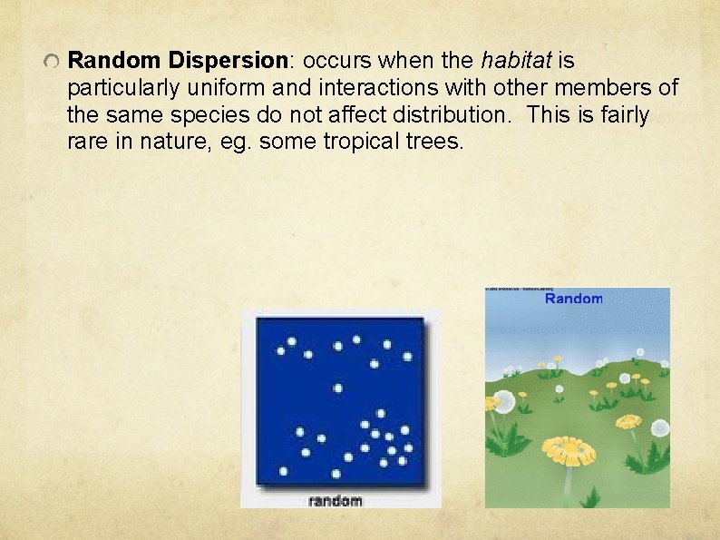 Characteristics of Populations Habitat the place where an