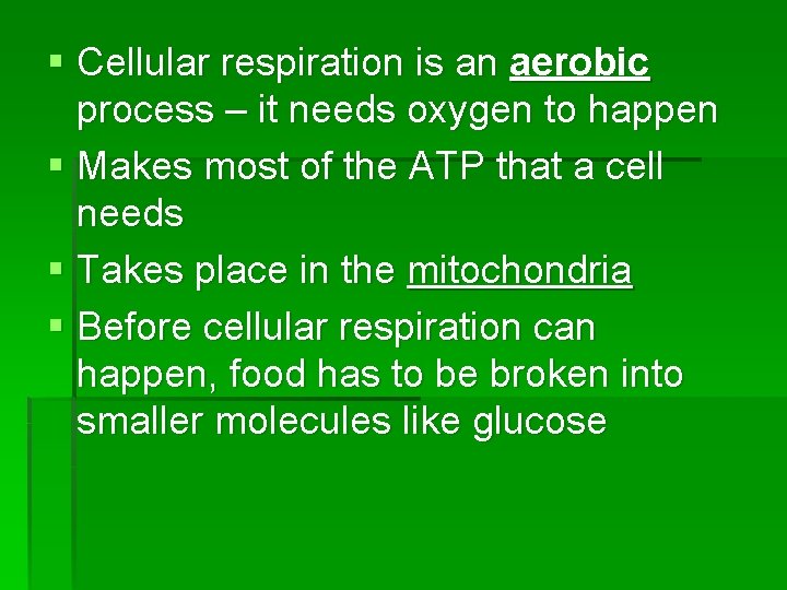 Biology Chapter 4 Section 4 Overview of Cellular