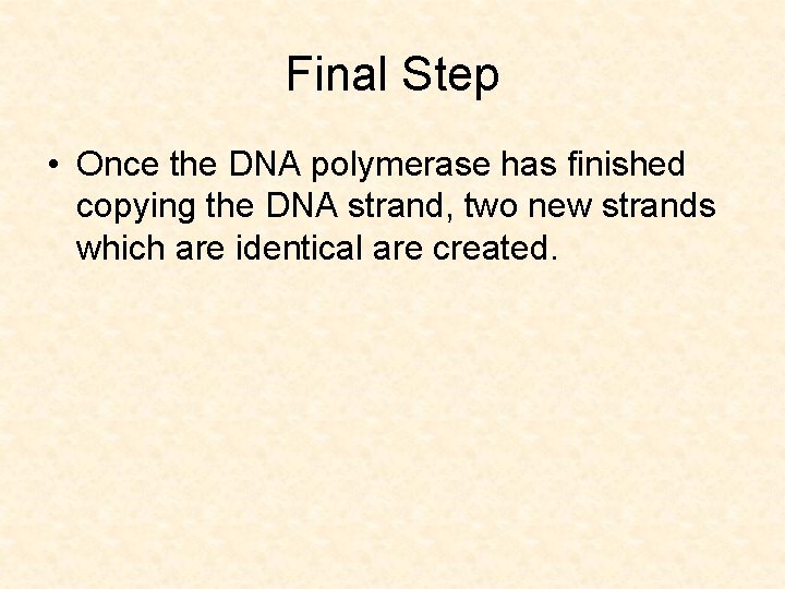 Processes of DNA 10 th Grade Biology DNA