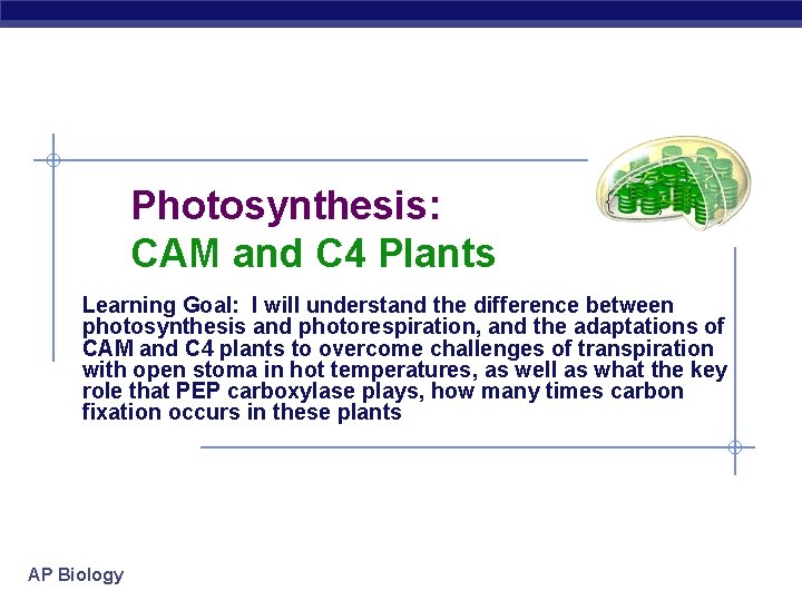 Photosynthesis CAM and C 4 Plants Learning Goal
