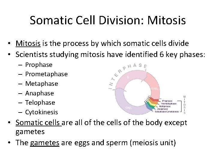 Entry Task Lab Notebook 31615 Using your notes