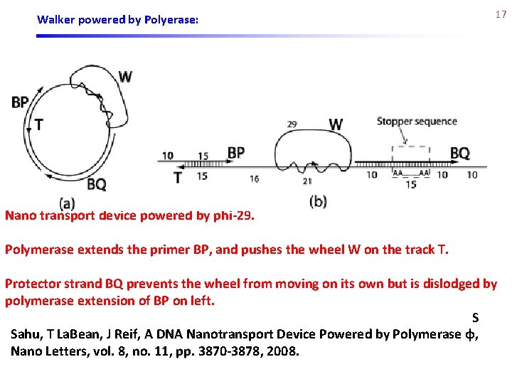 DNA Based Programmable Autonomous Molecular Robotic Devices John