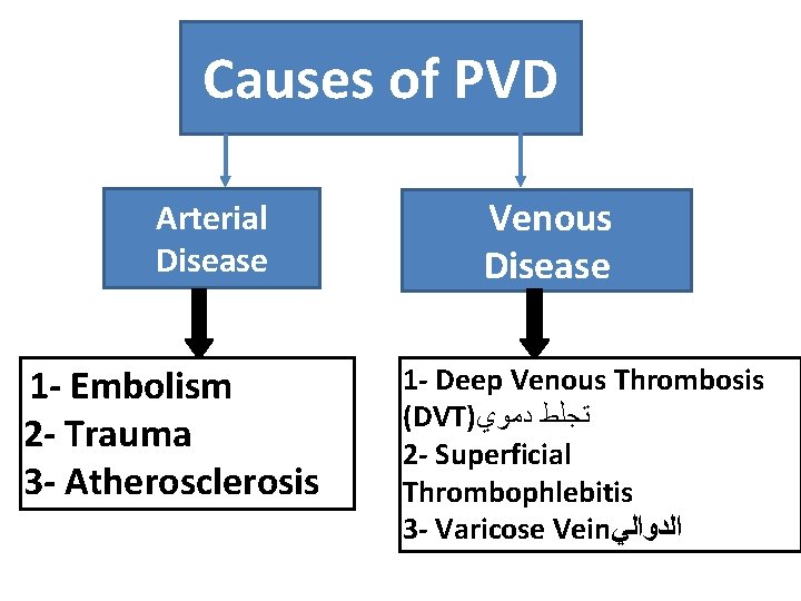 Peripheral Vascular Disease Dr Mahmoud AlAwaysheh General Colorectal
