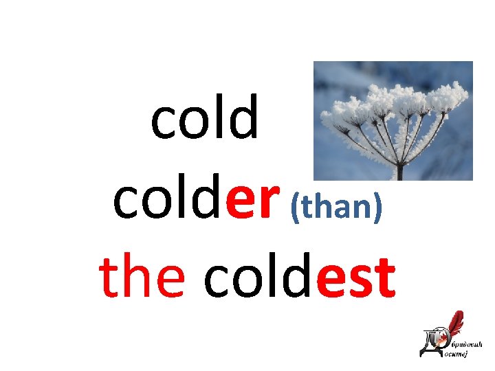 COMPARISON OF ADJECTIVES REVISION Sneana Tomaevi Primary School