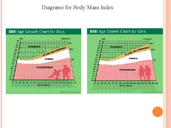 BMI By Elena P Sarah H and Emily