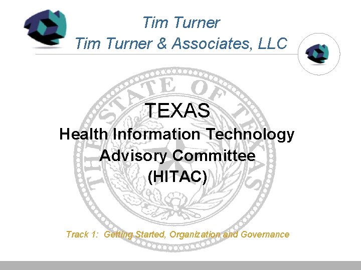 Tim Turner Associates LLC TEXAS Health Information Technology