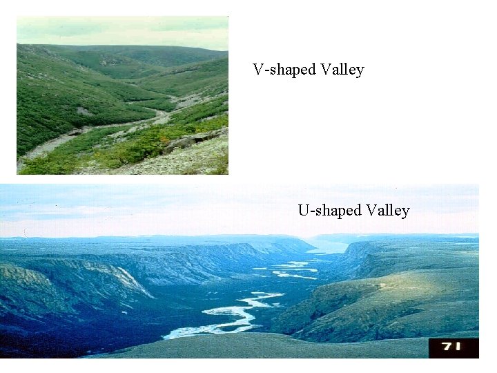 Variations of tree ring widths climate variations Coral