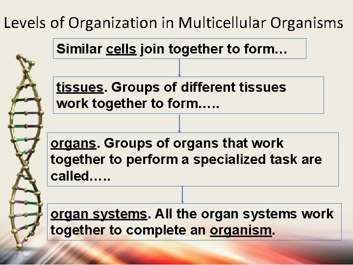The Diversity of Cellular Life Objectives 5 0