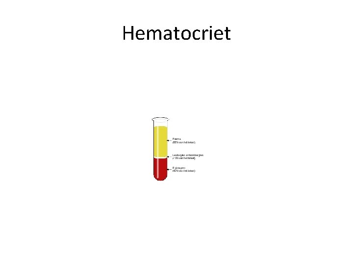 Bloed en afweer pathologie Ziekten van het bloed