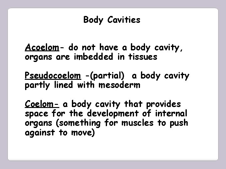 Animal Kingdom Invertebrates Animals without a backbone All