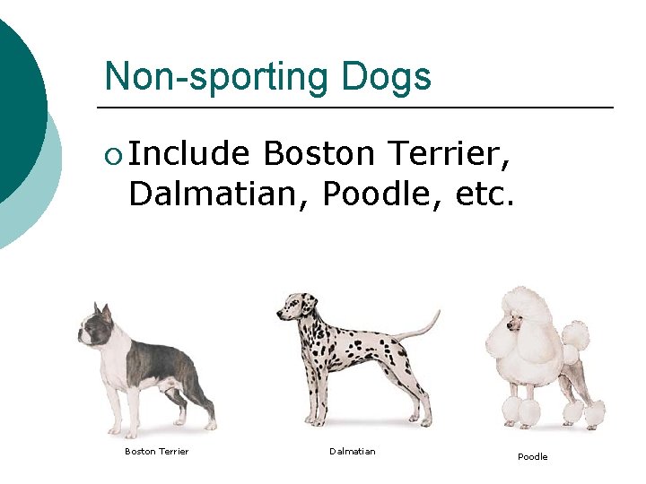 Dogs Part I Breeds Small Animal Care Breed
