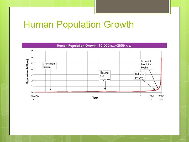 Ecosystems in Balance How do different populations of