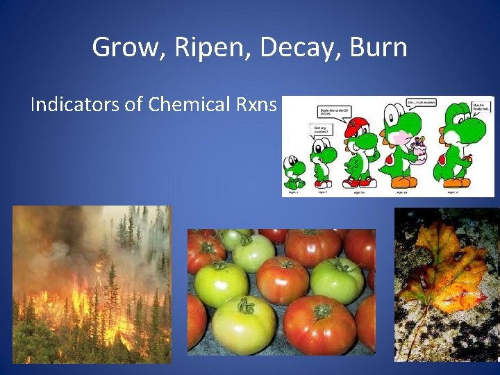 Chemical Reactions Grow Ripen Decay Burn Indicators of