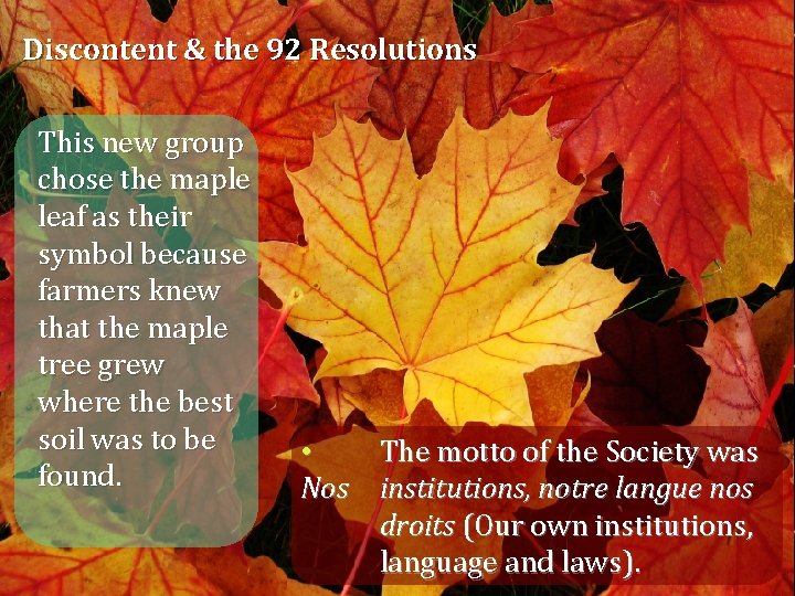 Key Points from the Rebellions Main Causes in