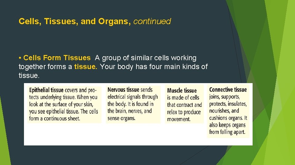 Do Now Match the body system in the