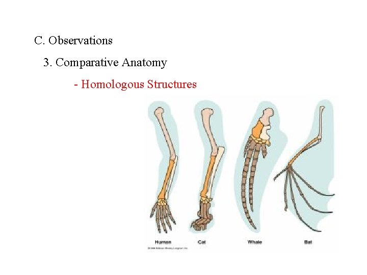 UNIT 3 DARWIN AND MENDEL I Darwins Contributions