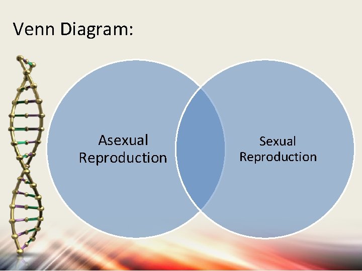 Copy Cat Types of Reproduction Copy Cat Types