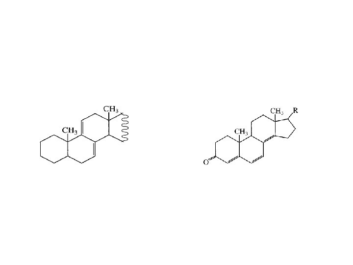 Table V Rules of Diene Absorption Base value