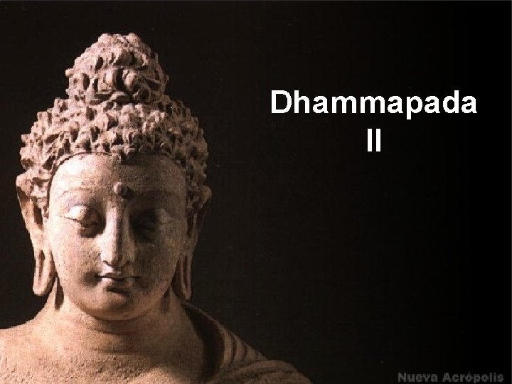 Dhammapada II Un solo da de la vida