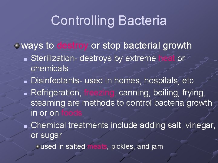Bacteria in Nature Anthrax What type of bacteria