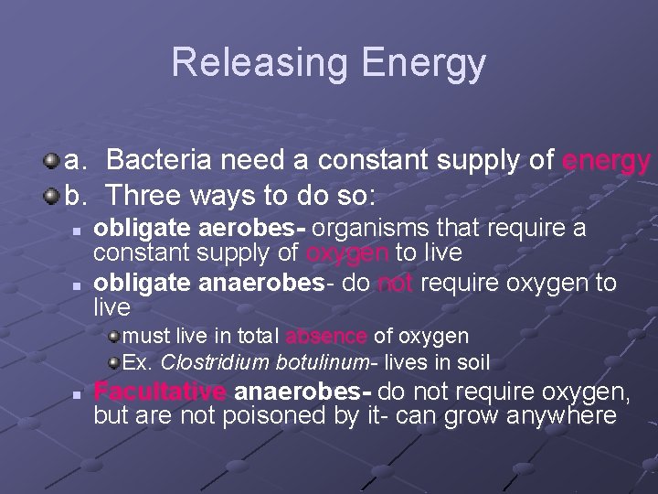 Bacteria in Nature Anthrax What type of bacteria