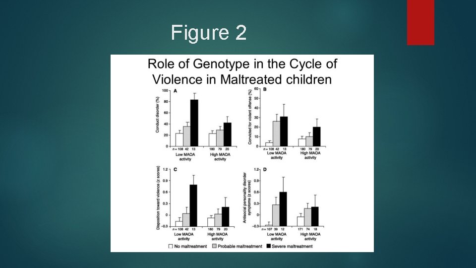 Role of Genotype in the Cycle of Violence