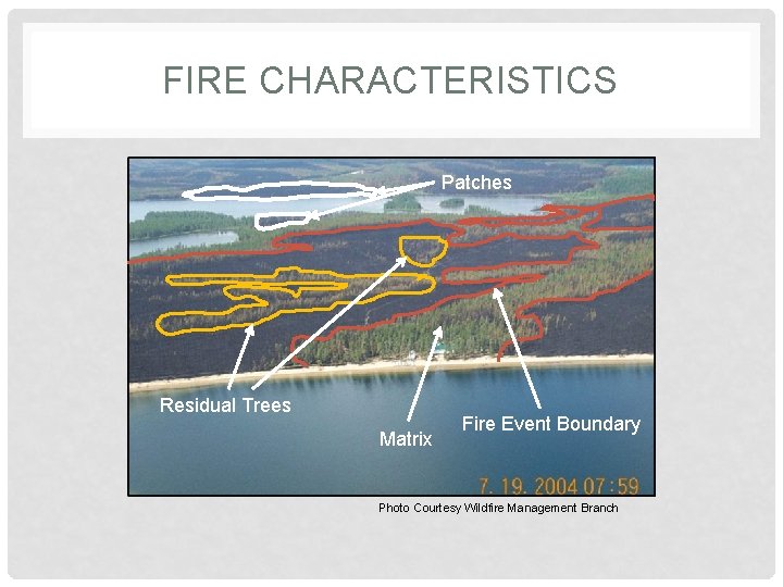 EMULATING NATURAL FOREST PATTERNS NATURAL DISTURBANCE Wildfire Wind