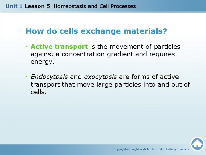 Unit 1 Lesson 5 Homeostasis and Cell Processes