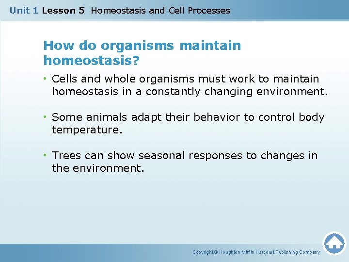 Unit 1 Lesson 5 Homeostasis and Cell Processes