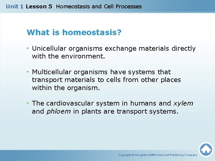 Unit 1 Lesson 5 Homeostasis and Cell Processes