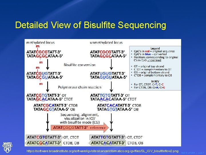 Introduction to Bioinformatics of Bisulfite Sequencing Methylation Data
