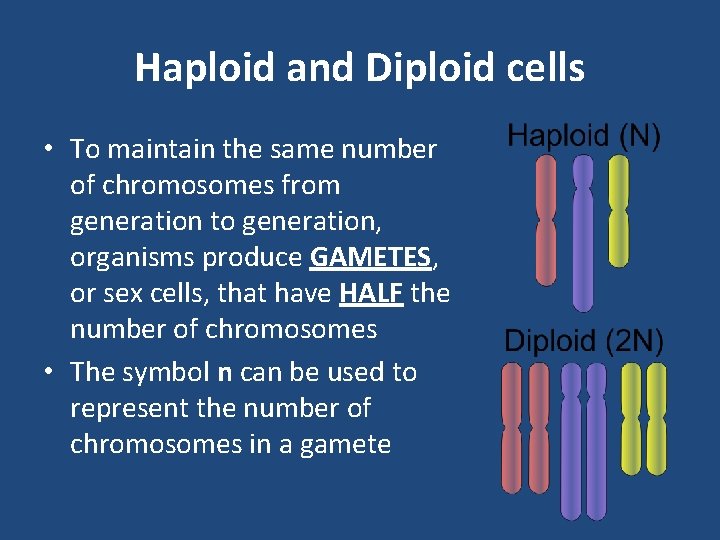 Chapter 10 Section 1 Meiosis INTRODUCTION The variety